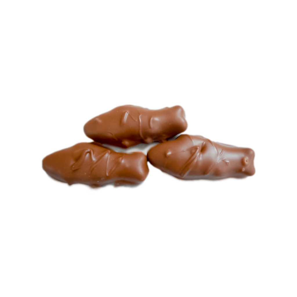 Chocolate Covered Swedish Fish – Meyers House of Sweets